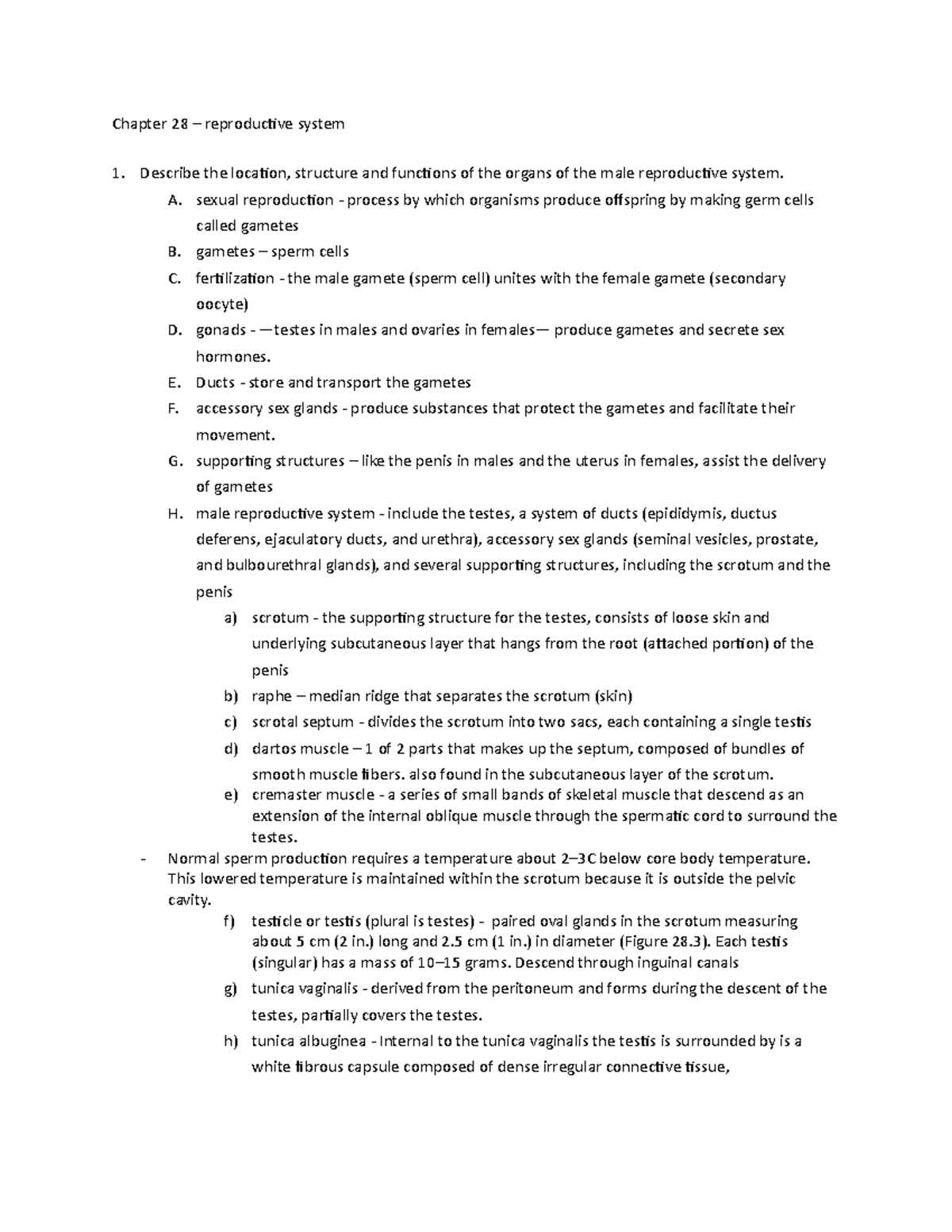 Chapter 28 - Reproductive System - Chapter 28 – reproductive system 1 ...