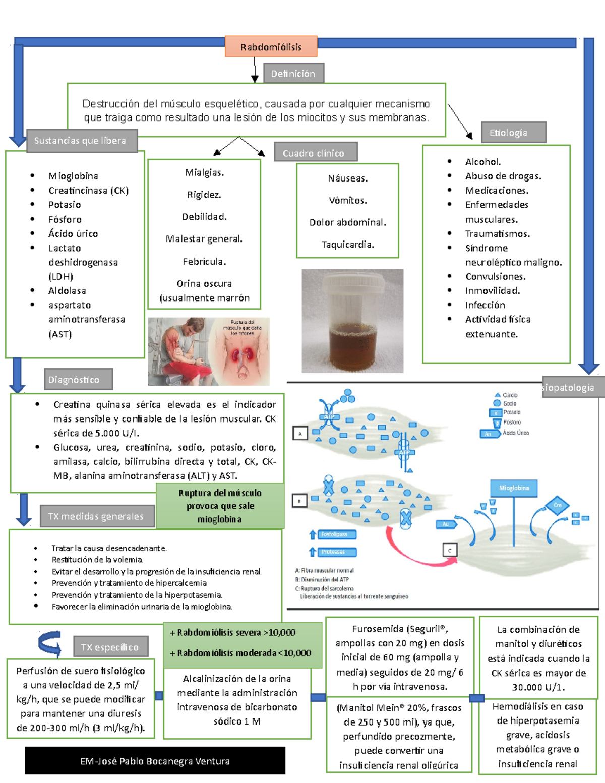 Rabdomiolisis - Resumen de rabdomiólisis - Rabdomiólisis Mioglobina ...