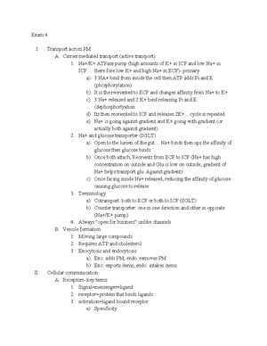 Physiology Exam 4 - Professor Bronson - Physiology Exam 4 02/03/2014 ...