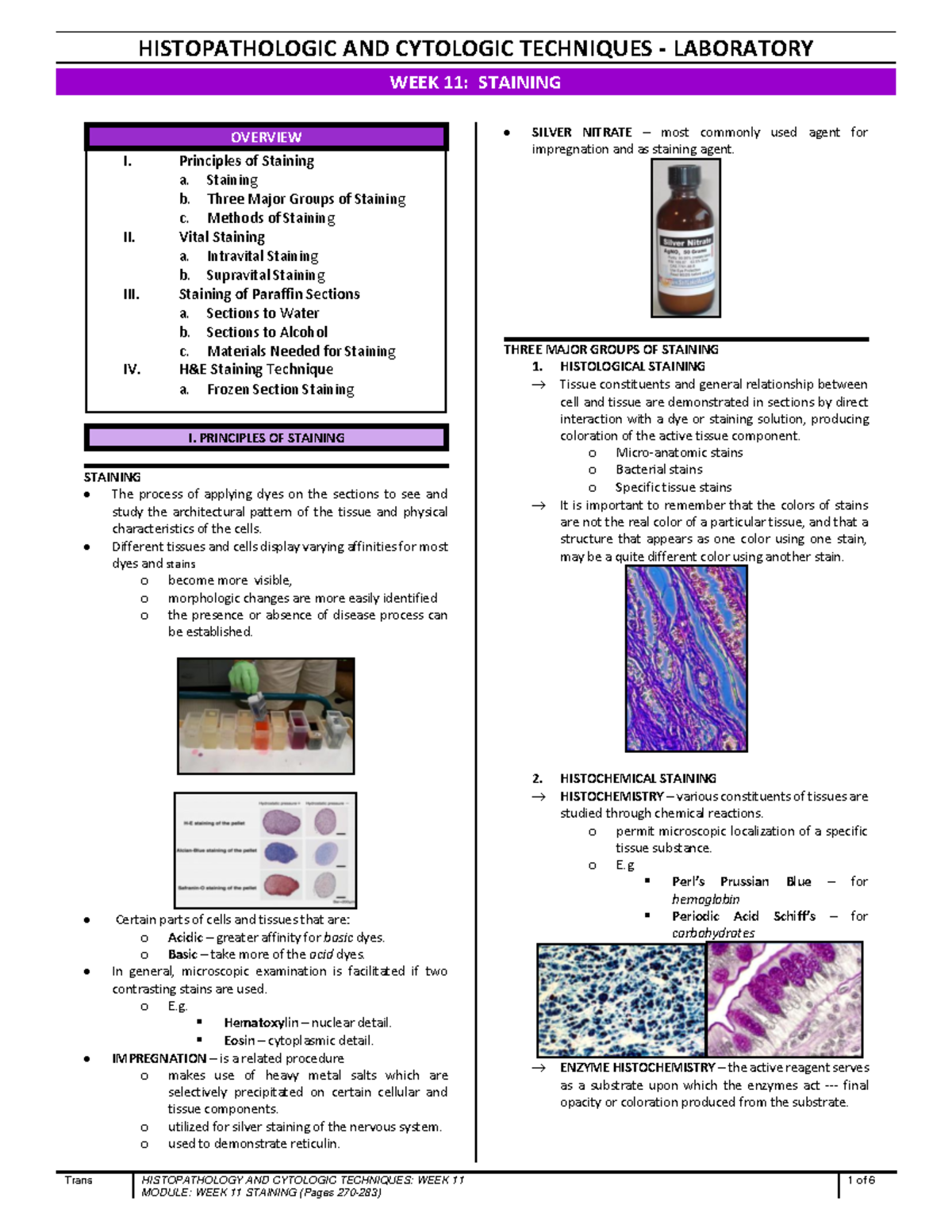 Histopathology Laboratory - Week 11 - Trans HISTOPATHOLOGY AND ...