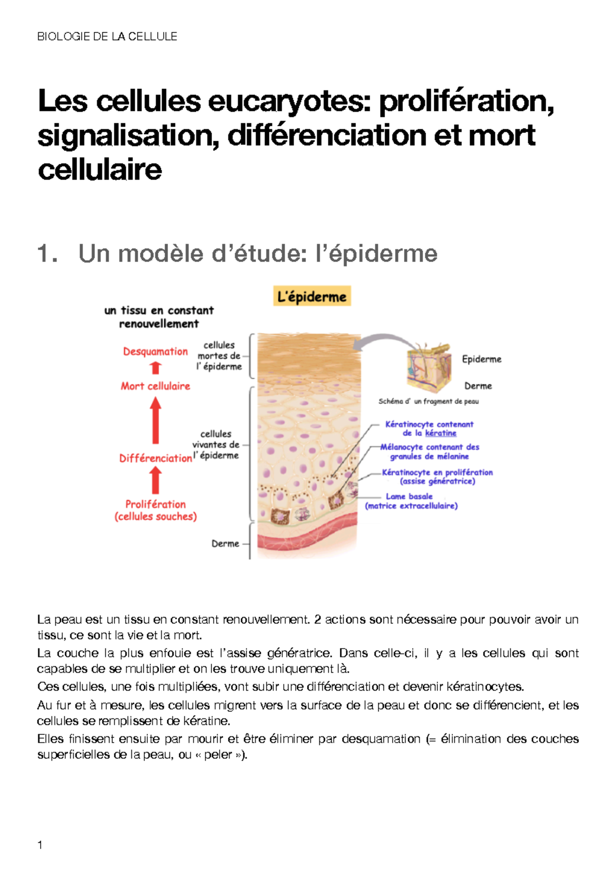 5. Les cellules eucaryotes- prolifération, signalisation ...