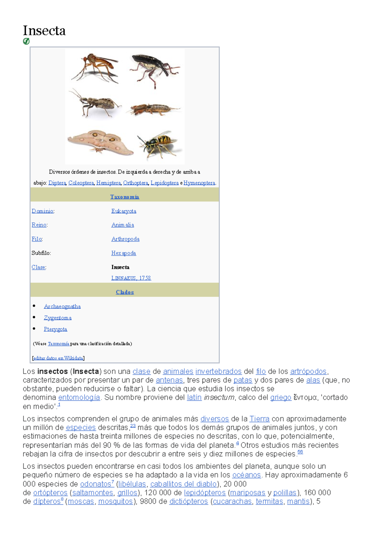 Insectos - Insecta Diversos órdenes de insectos. De izquierda a derecha ...