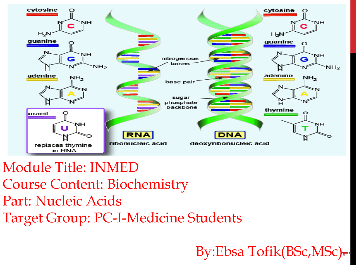 NA Chem - Module Title: INMED Course Content: Biochemistry Part ...