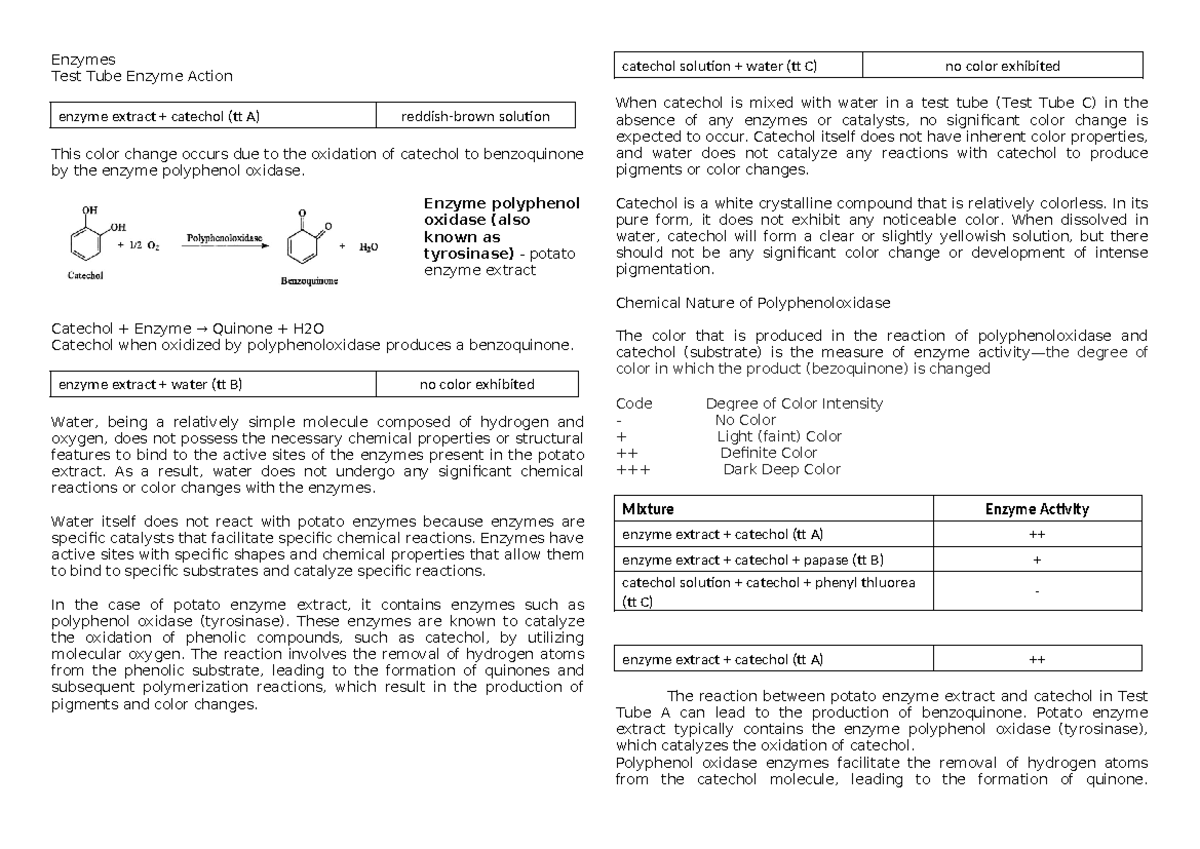 Enzymes - Chem Lab - Reviewer - Enzymes Test Tube Enzyme Action enzyme ...
