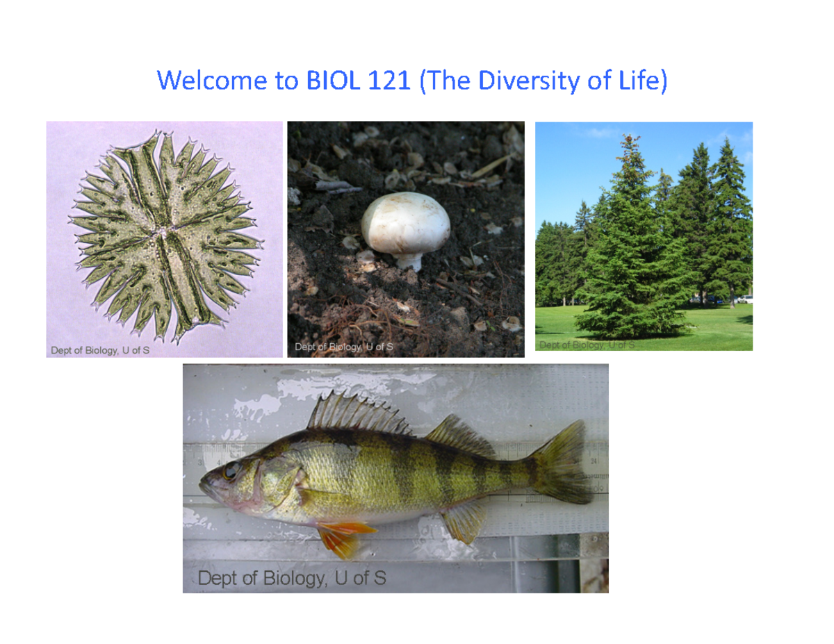 Bio Lec 1 notes - Welcome to BIOL 121 (The Diversity of Life) Biology ...