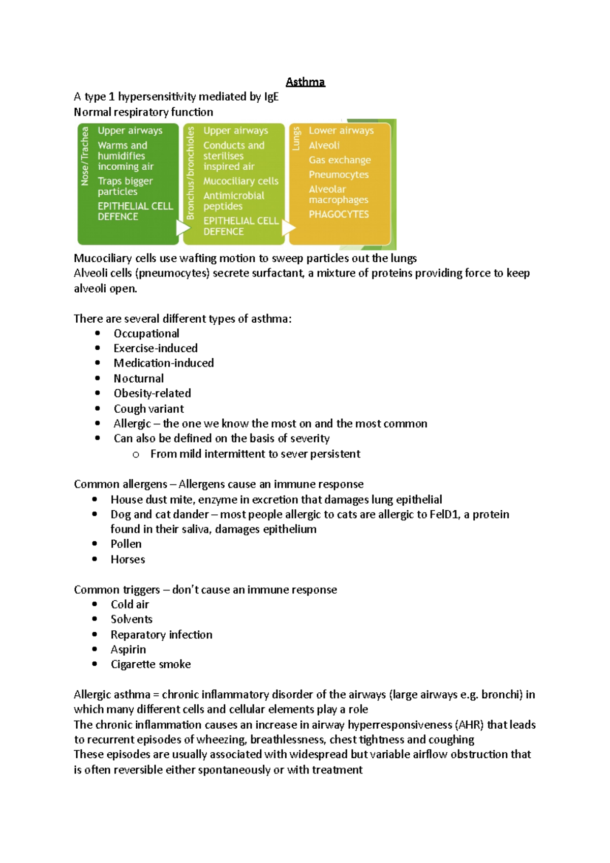 Asthma - Asthma A type 1 hypersensitivity mediated by IgE Normal ...