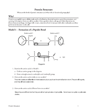 AP Biology Chapter 2 Active Reading Guide - Studocu