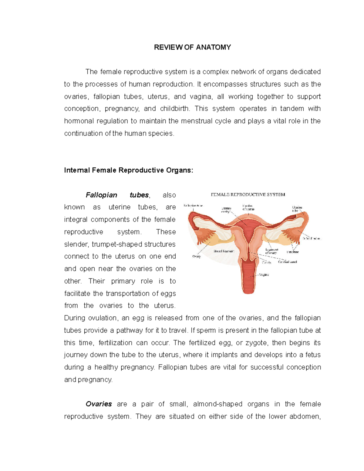 Review OF Anatomy AND Concept MAP in Reproductive System - REVIEW OF ...