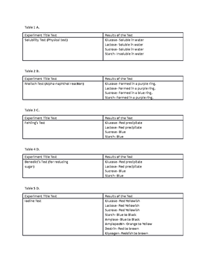 Espaltero Personal Consumption Audit - Personal Consumption Audit Name ...