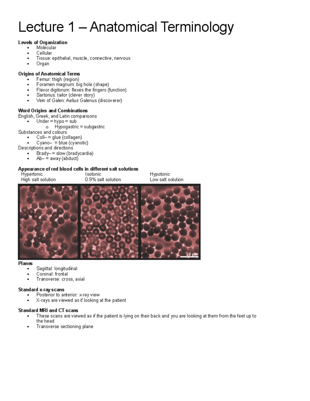 1 - Anatomical Terminology - Lecture 1 – Anatomical Terminology Levels ...