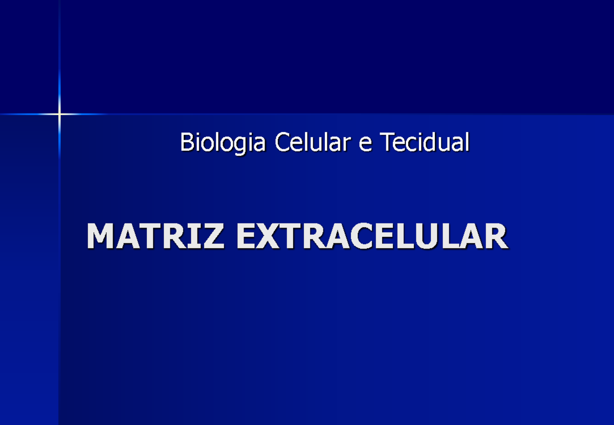 Matriz Extracelular - Biologia Celular E Tecidual - MATRIZ EXTRACELULAR ...