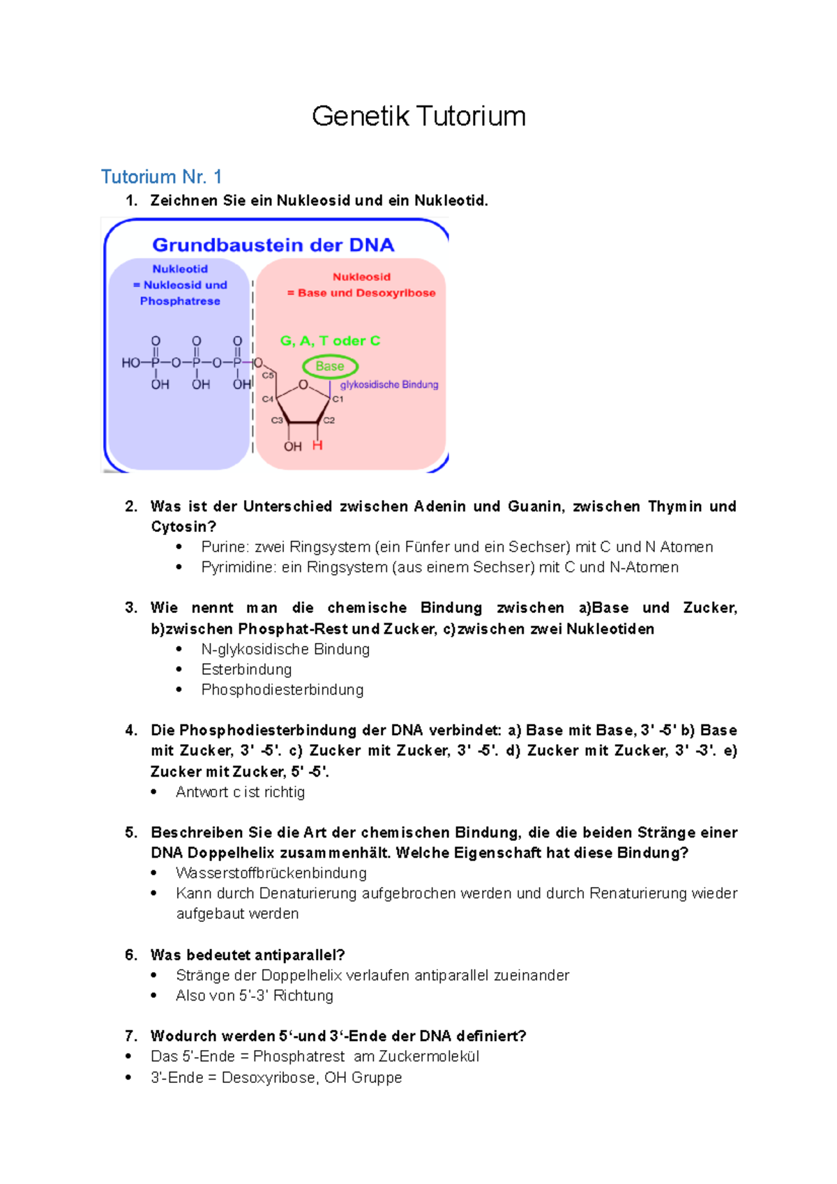 Genetik Tutoriumsfragen - Genetik Tutorium Tutorium Nr. 1 1. Zeichnen ...