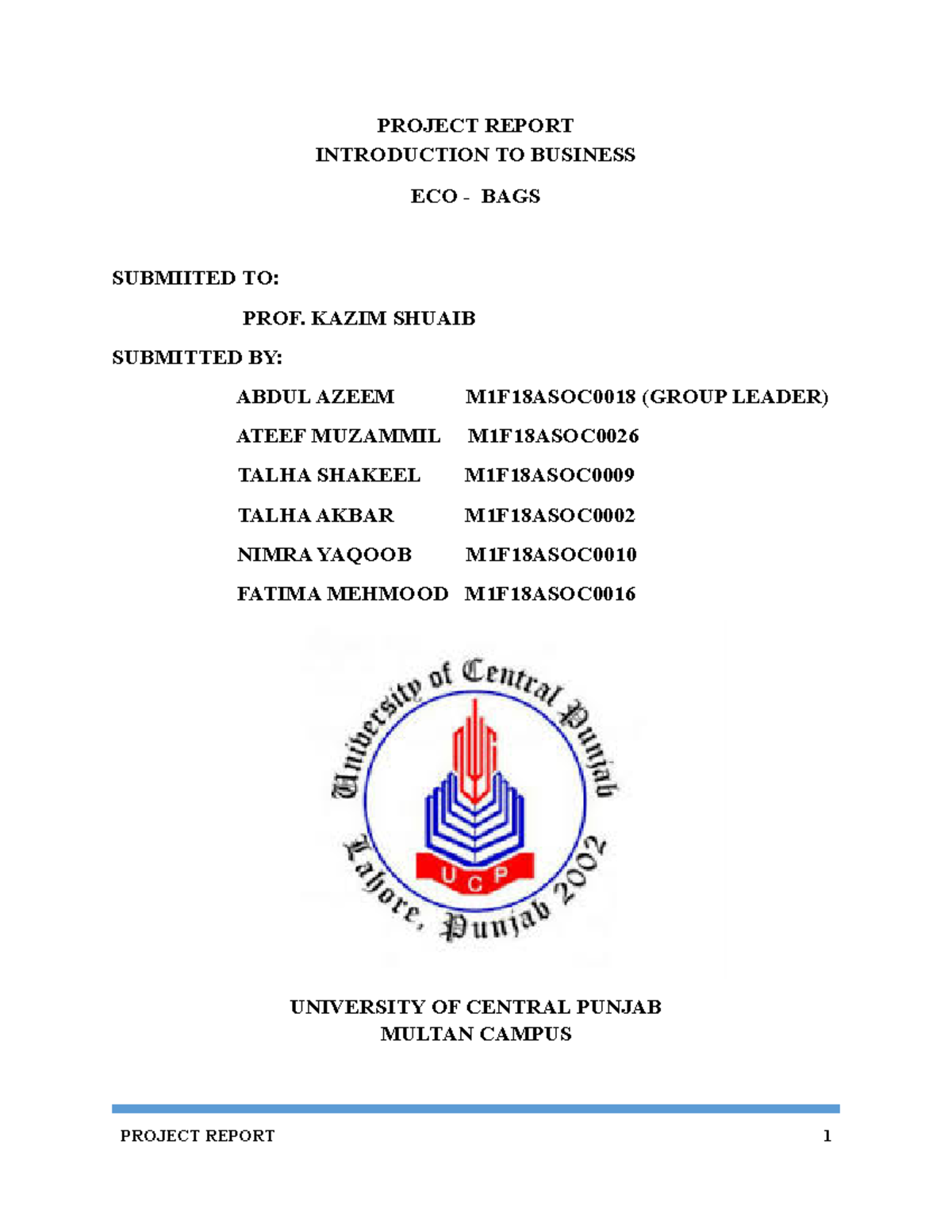 Economics Project - PROJECT REPORT INTRODUCTION TO BUSINESS ECO - BAGS ...