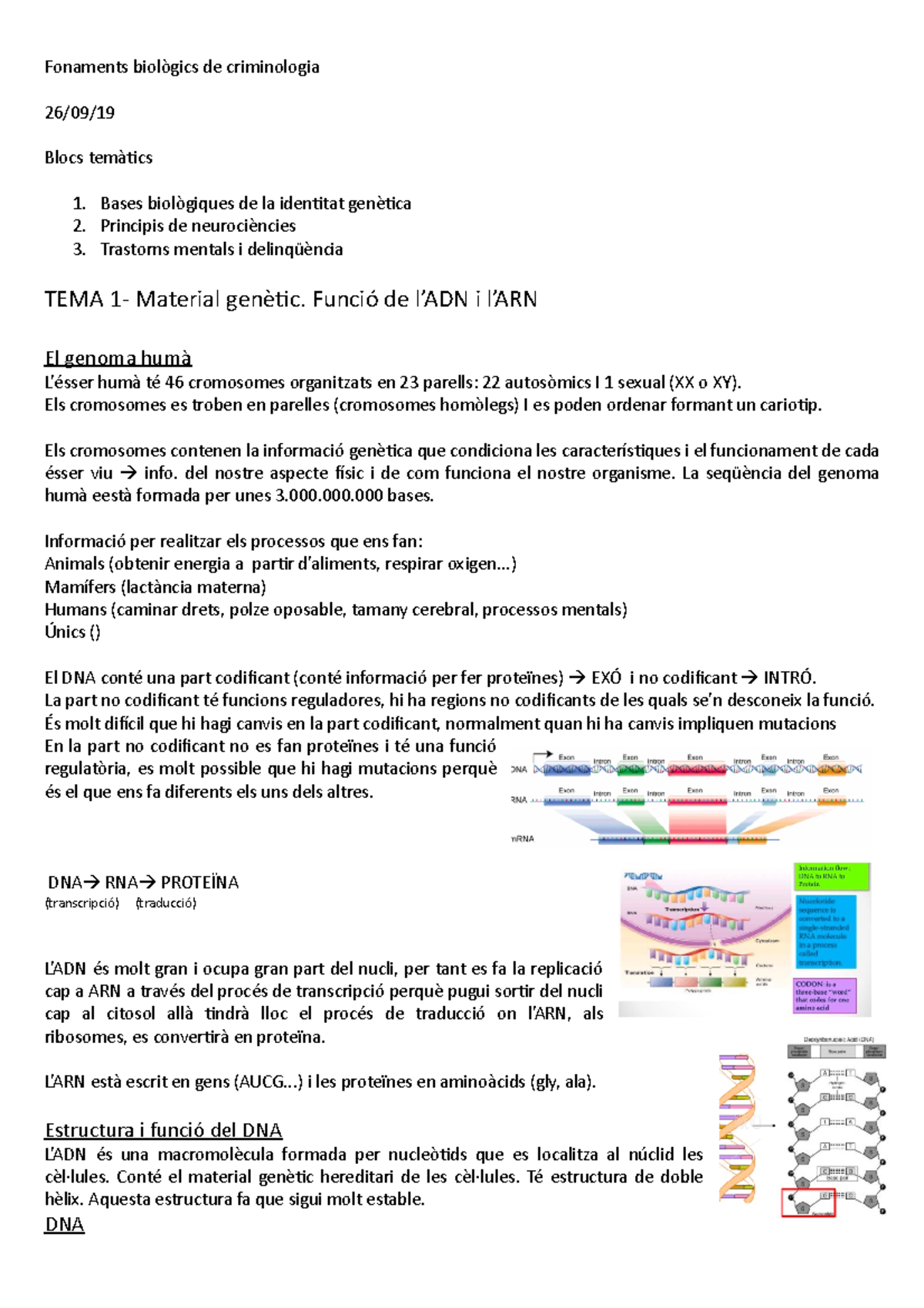 TEMA 1- Material genètic. Funció de l’ADN i l’ARN - 26/09/ Blocs ...
