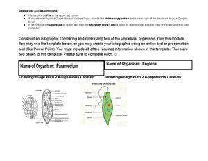 Document 6 - words - CHAPTER 3 Action potential- Electrical signals ...
