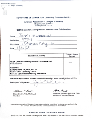 CE Certificate QSEN Grad Teamwork Collaboration - CERTIFICATE OF ...