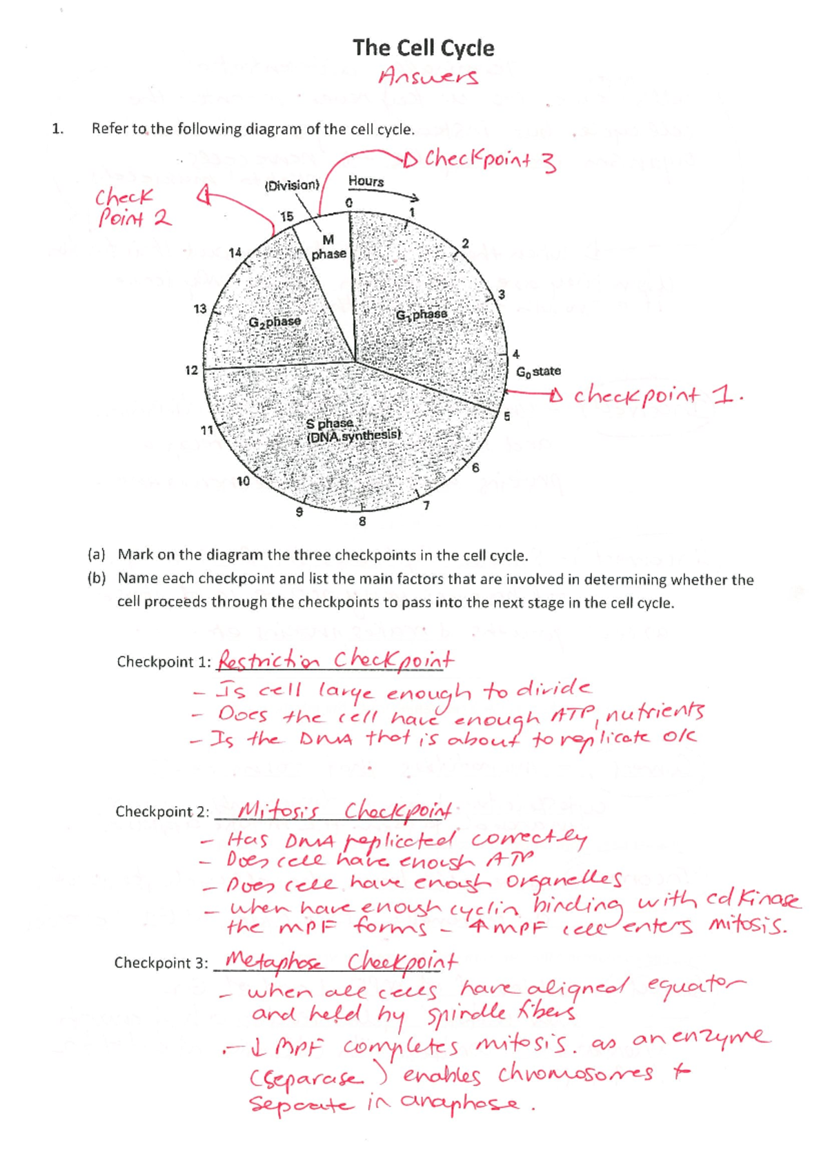 Cell cycle answers - Worksheet - chem102 - Monash - Studocu