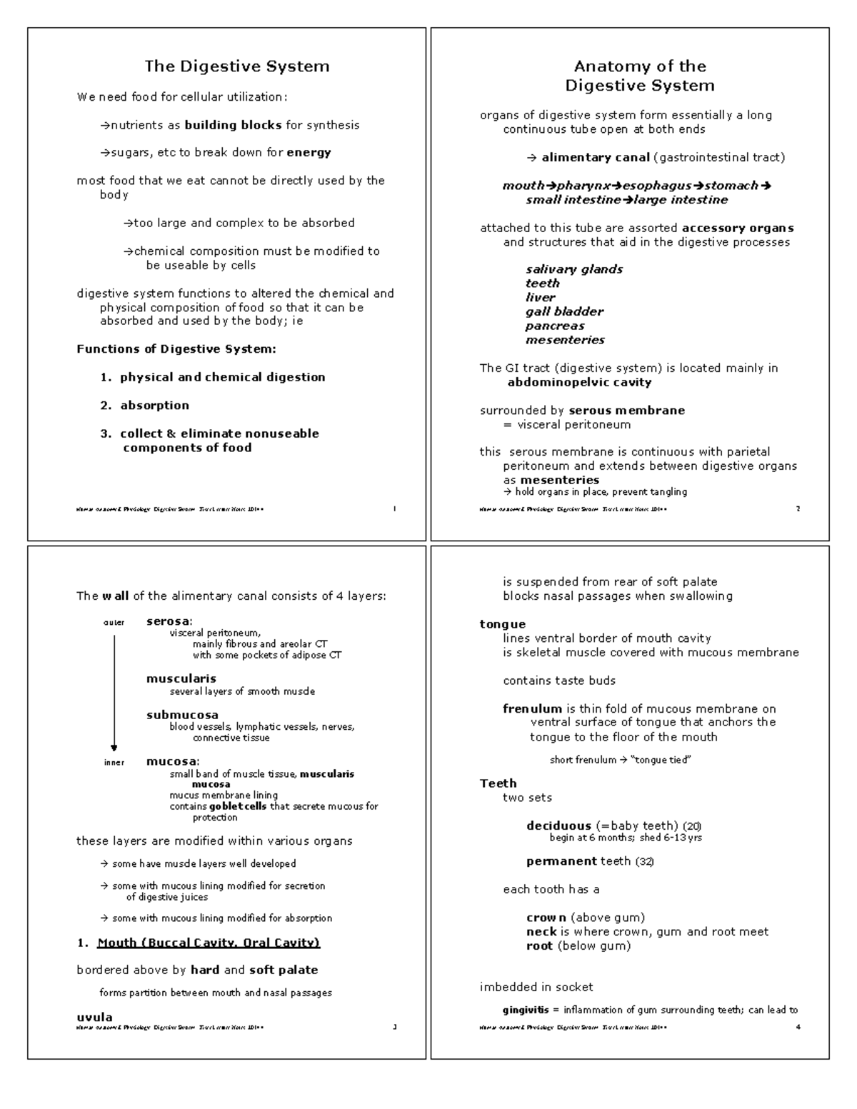 M.Digestive System - NOTES for Digestive - Human Anatomy & Physiology ...