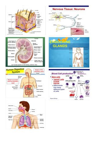 Understanding the Self Module 1 - First Year - PRELIMINARIES Module Title: Learning Module in ...