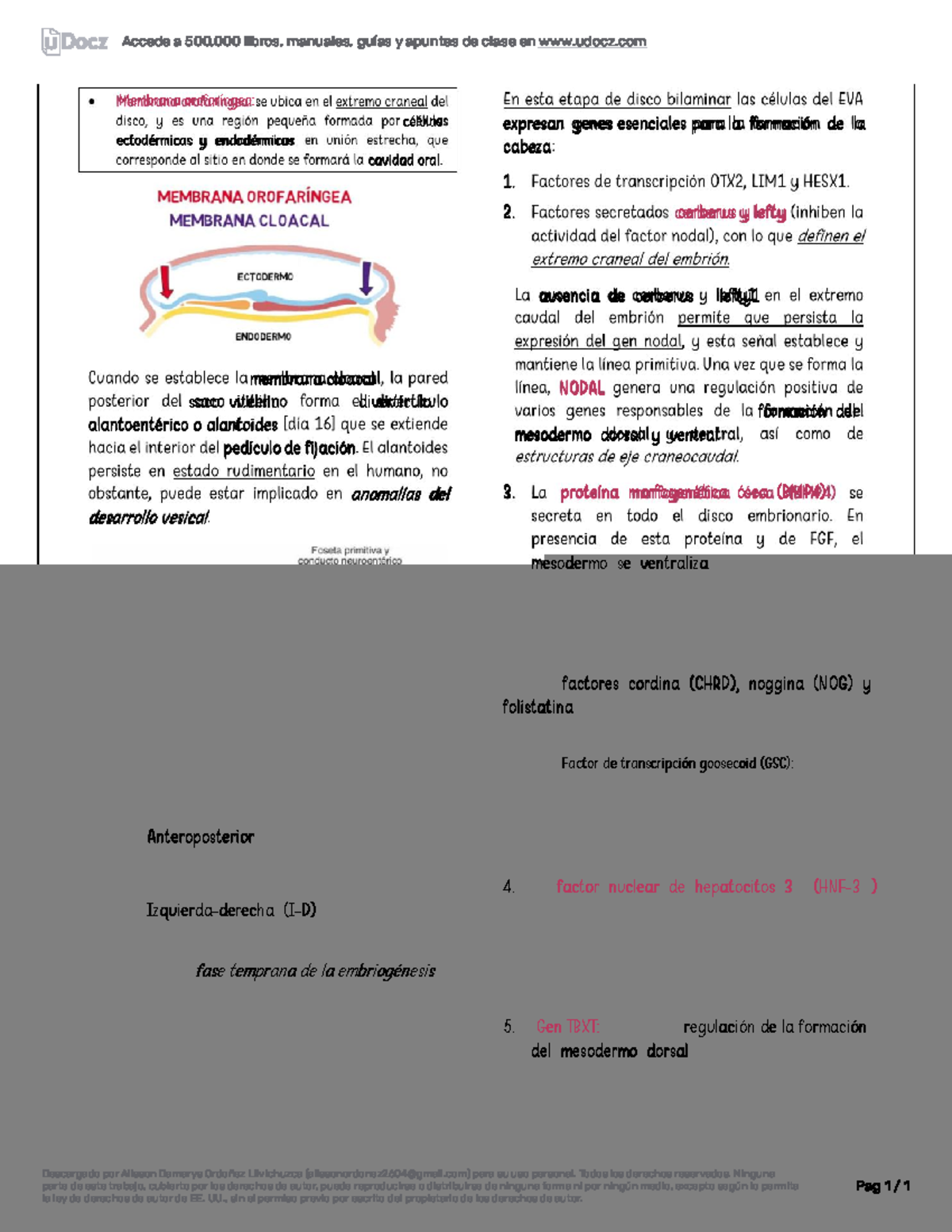 Tercera Semana del Desarrollo Embrionario Cami Science u Docz - Accede ...