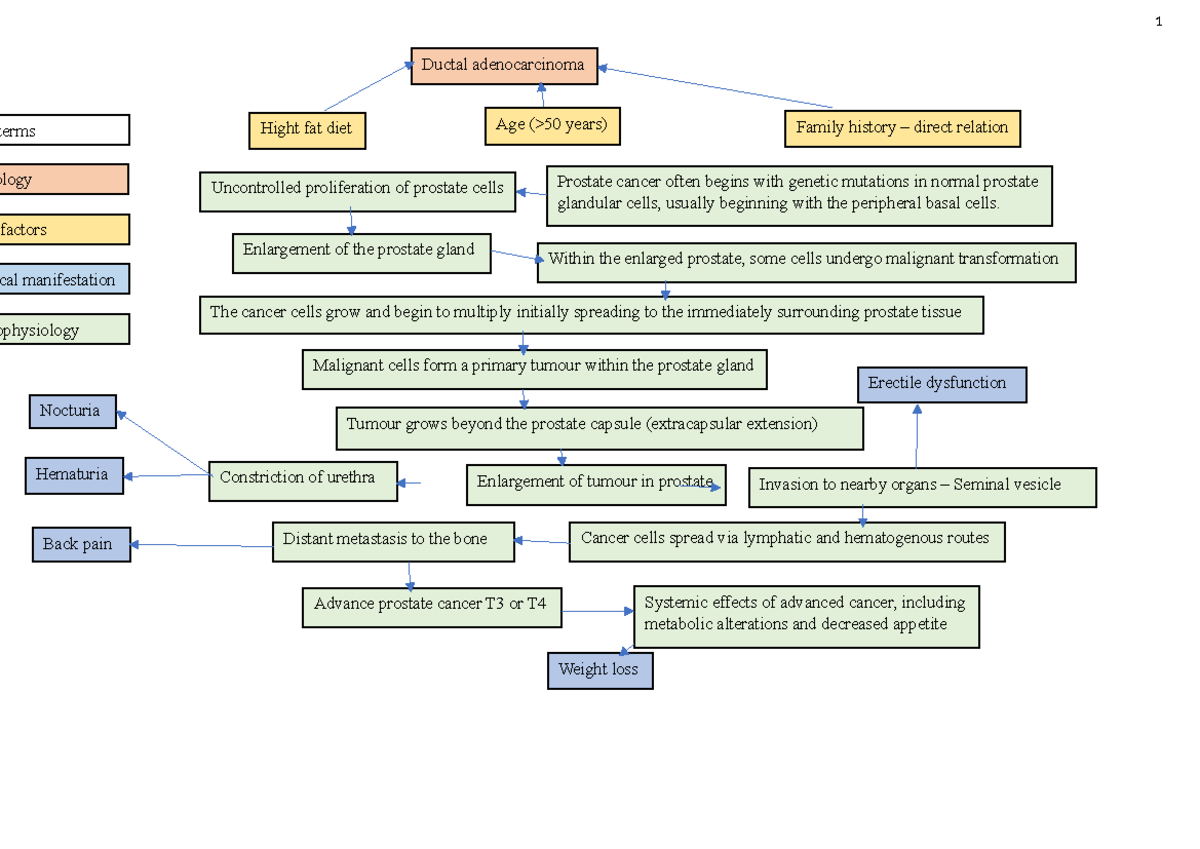 2804NRS P&P Concept Map Draft - Ductal adenocarcinoma Erectile ...