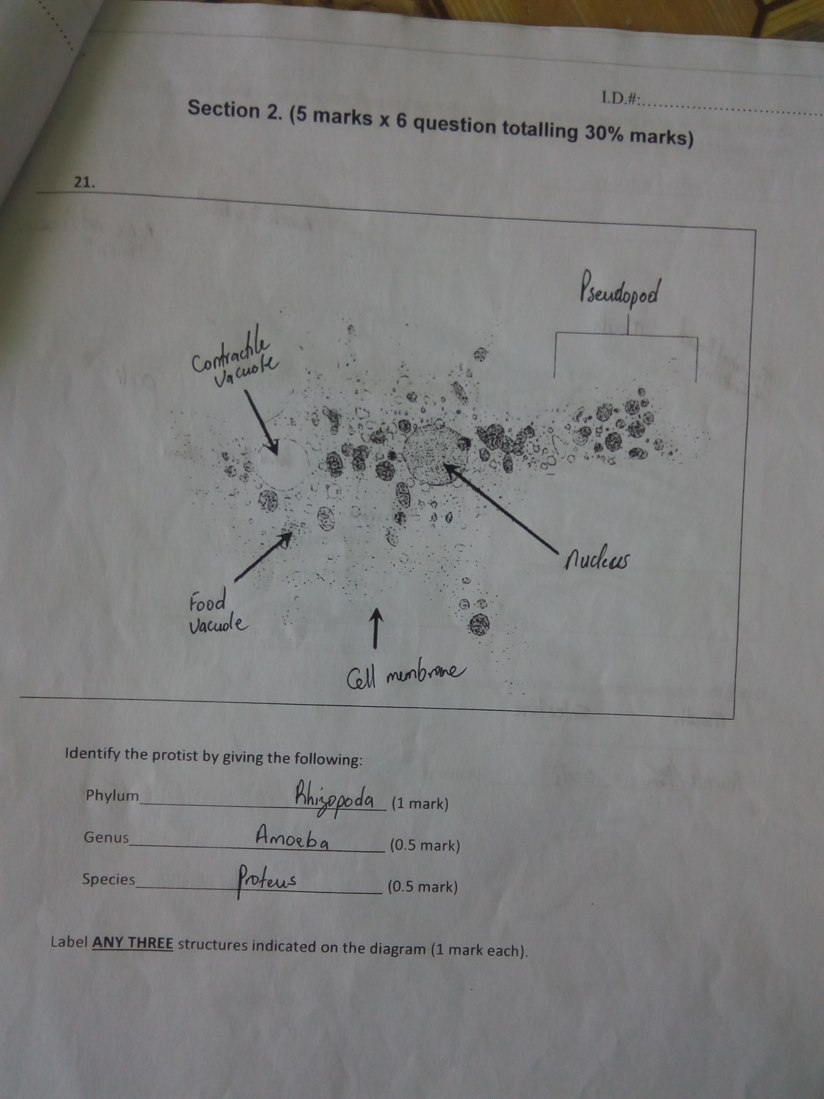 PP practice - past paper - living organisms I - Studocu
