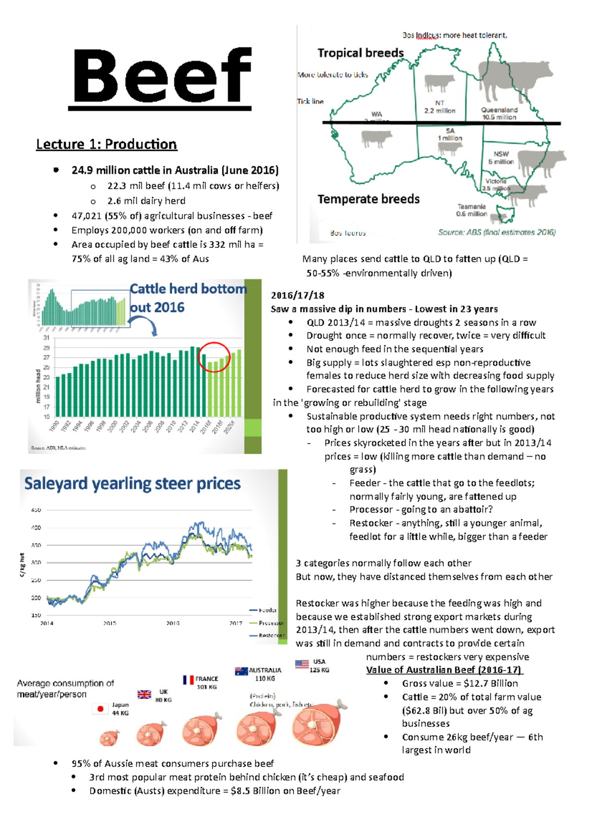 BEEF - Lecture 1 - Beef Lecture 1: Production 24 million cattle in ...