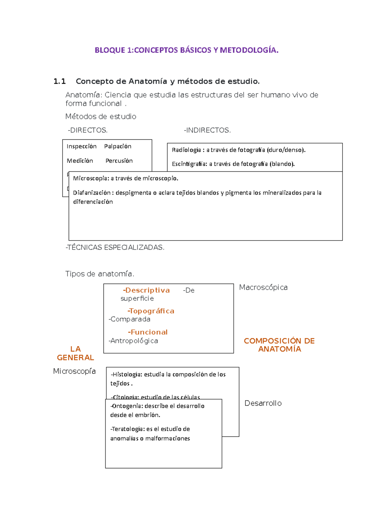 Bloque 1 ANATOMIA BASICA - BLOQUE 1:CONCEPTOS BÁSICOS Y METODOLOGÍA. 1 Concepto de Anatomía y ...