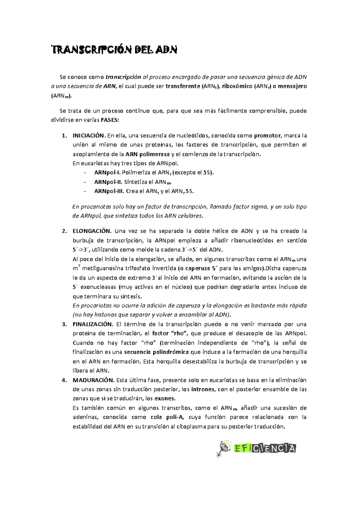 B074 - etapas de la transcripcion - TRANSCRIPCIÓN DEL ADN Se conoce ...