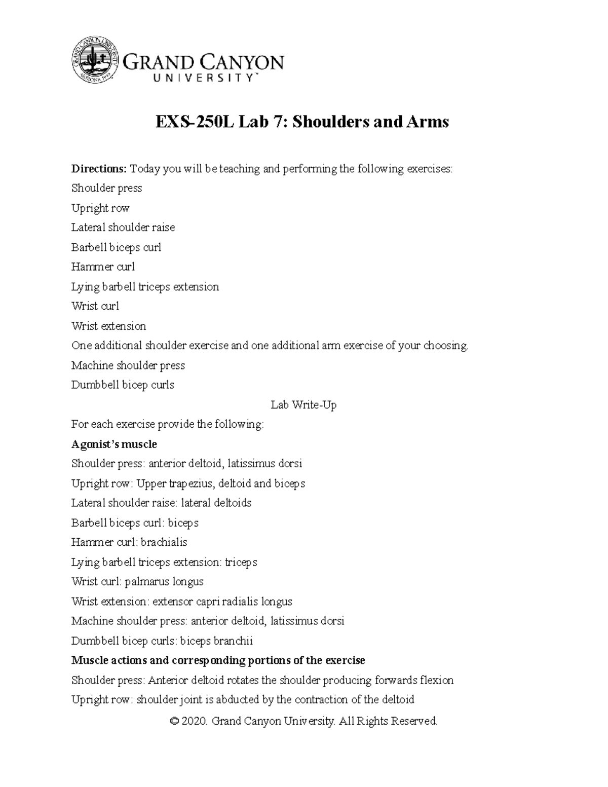 EXS 250L-RS-Lab7-Shouldersand Arms - EXS-250L Lab 7: Shoulders and Arms ...