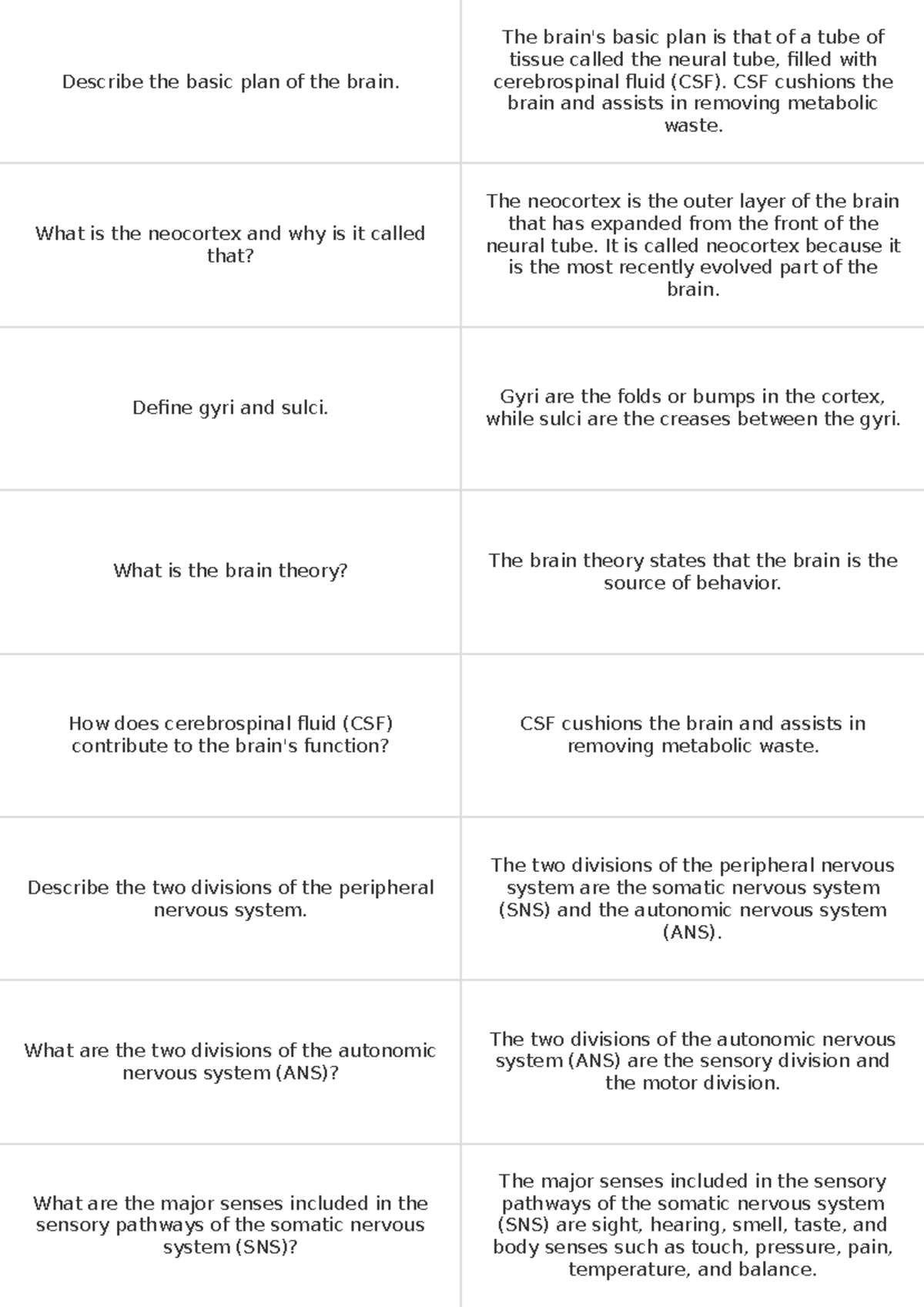 Flashcards neuro - Describe the basic plan of the brain. The brain's ...