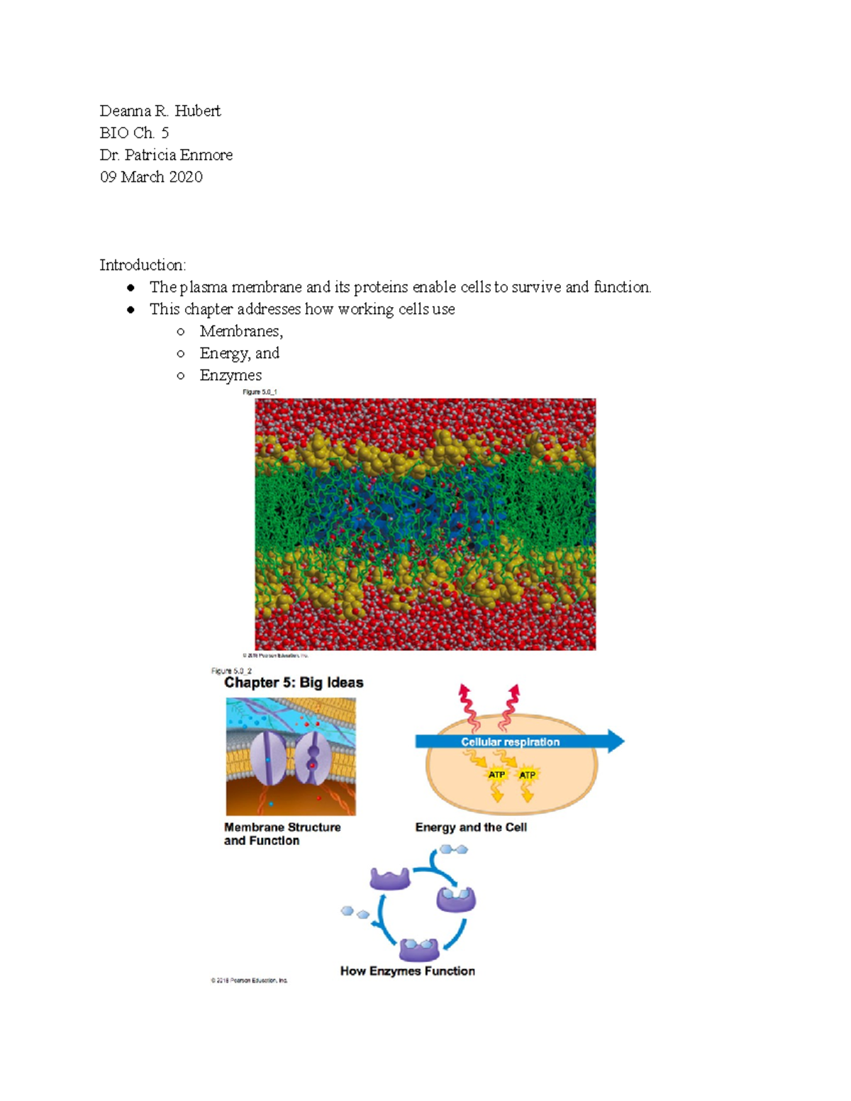 Chapter 5 Notes - Teacher: Dr. Patricia Enmore - Deanna R. Hubert BIO ...