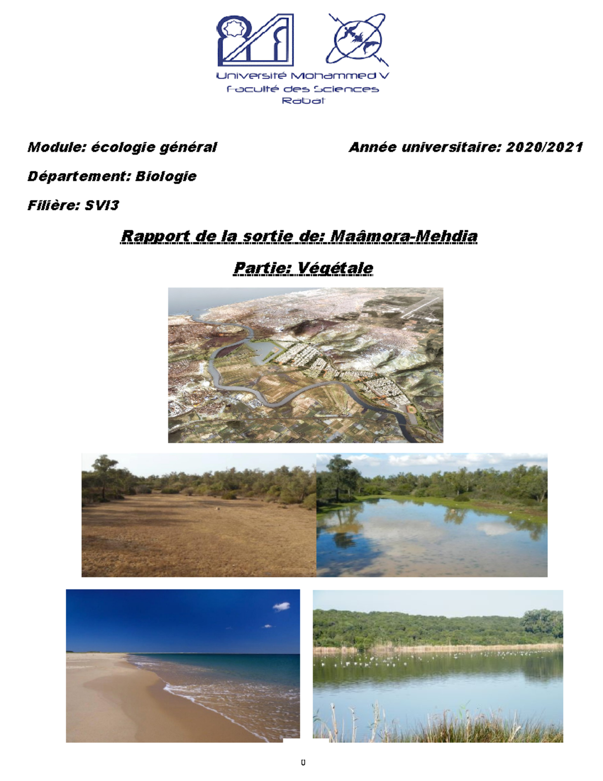 Rapport DE Sortie Vegetale - Module: écologie général Année ...