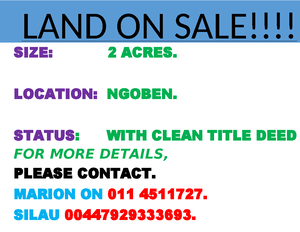 History FORM 2 Notes - i IDEAL HISTORY AND GOVERNMENT FORM 2 SIMPLIFIED ...