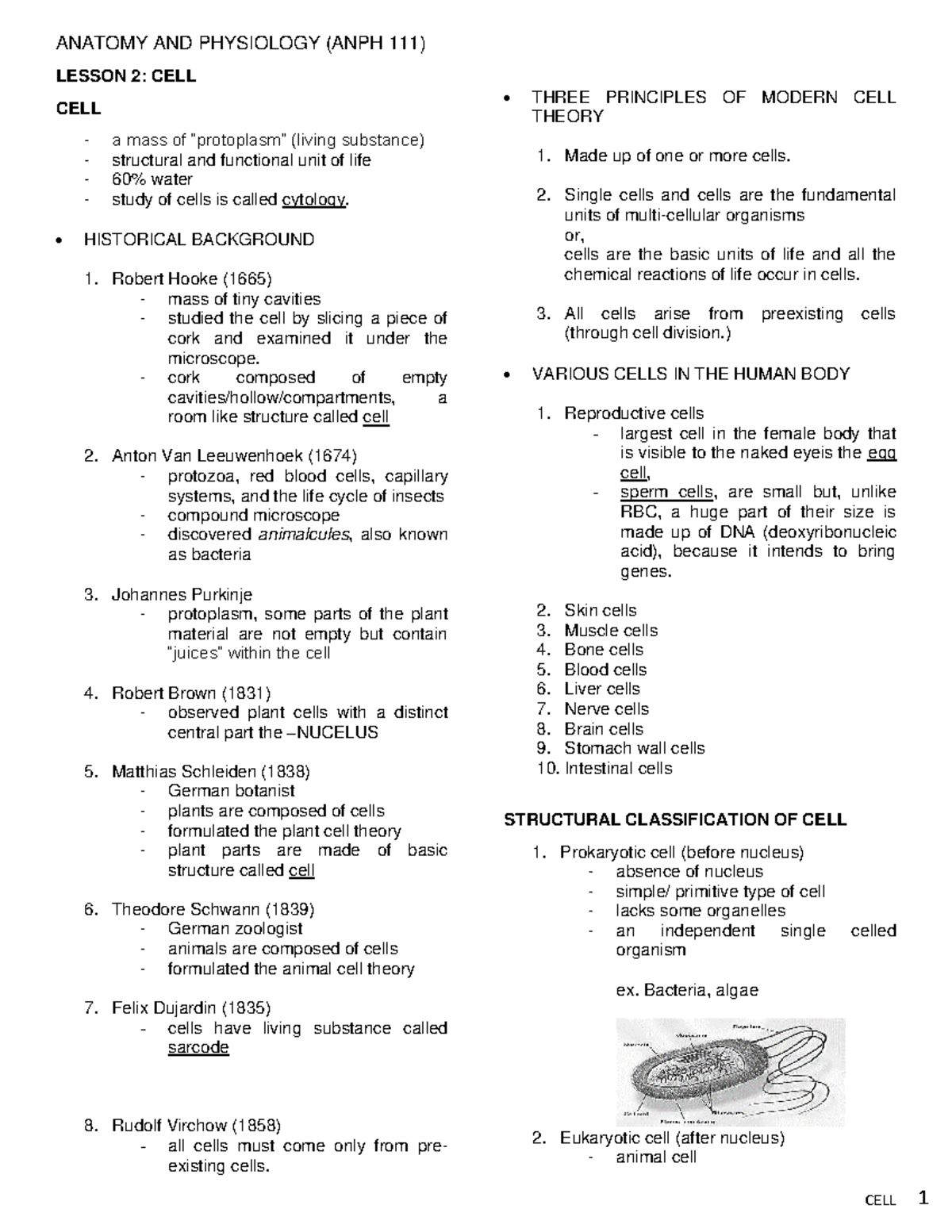 2.2 The Cell Morphology II - LESSON 2: CELL CELL a mass of