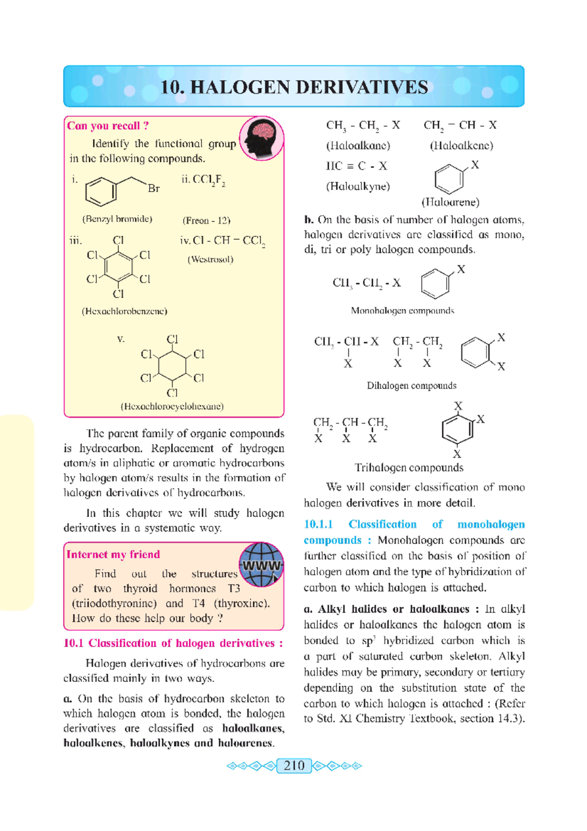 Halogen-derivatives-3 - IT engineering - Studocu