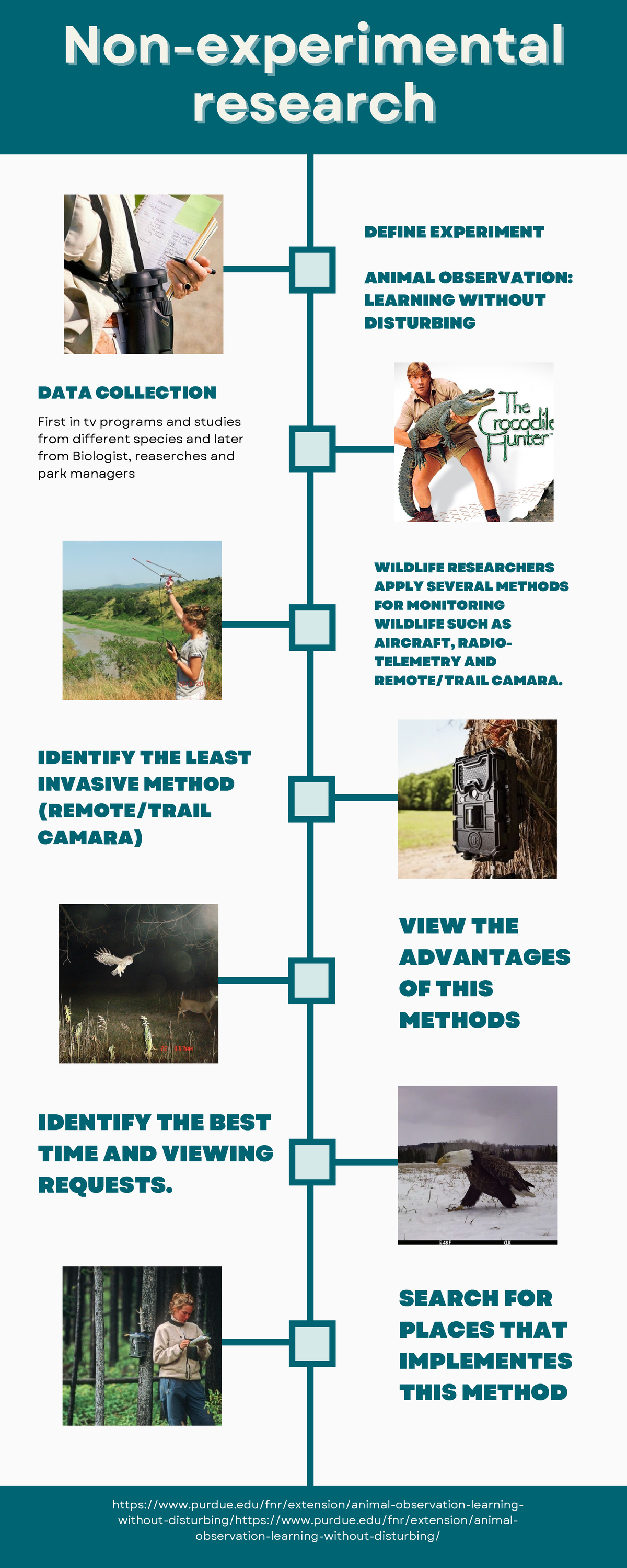 Scientific - Trabajo de clase - DEFINE EXPERIMENT ANIMAL OBSERVATION ...