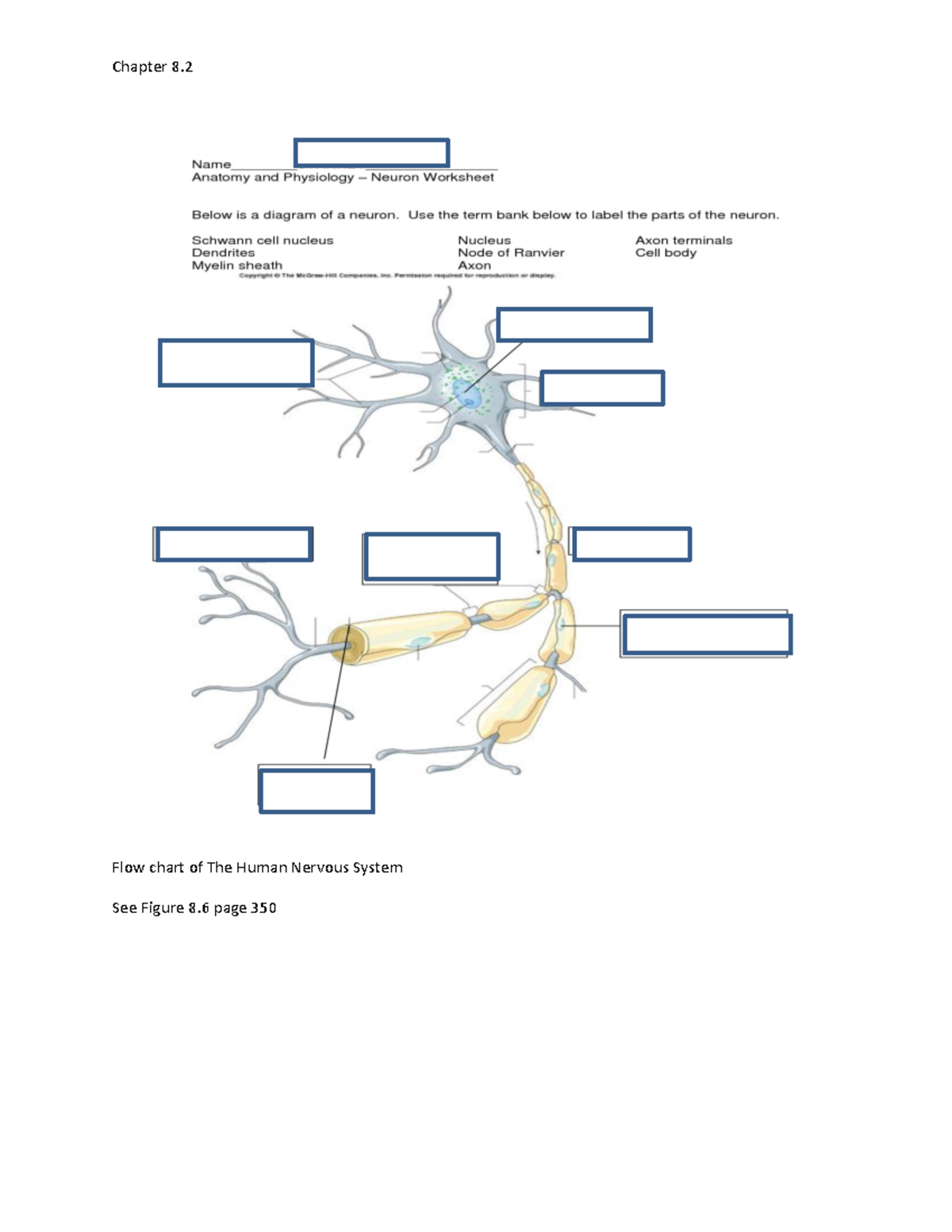 SBI 4U neuron diagram assignment assigned - Chapter 8. Flow chart of ...