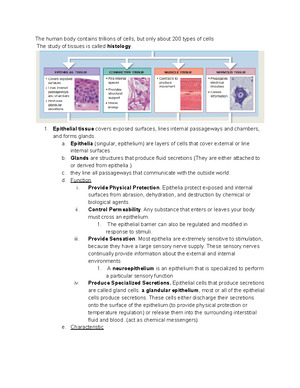 An P Ch4 Quiz 1 - Chapter 4 practice test - A&P Chapter 4 Quiz 1 Which ...