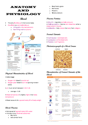 Mmdst Test form p2 - Maternal and Child Nursing - Studocu