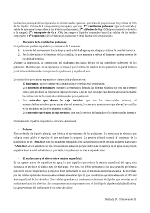 Resumen del Capítulo 39 del Guyton 13va edición - El Pulmón iene 2 circulaciones Circulación de ...