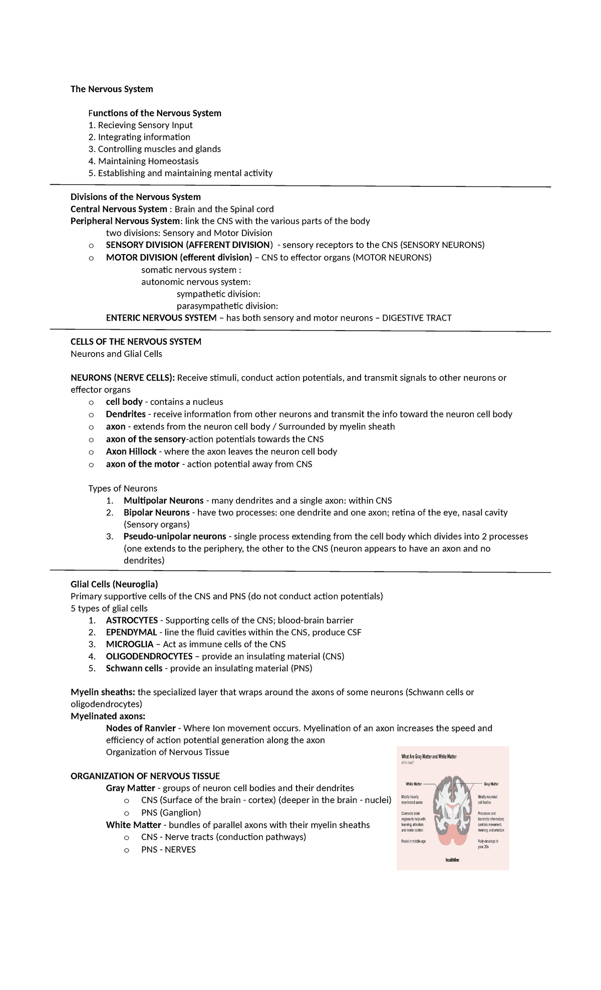 Anaphy Midterm Reviewer - The Nervous System Functions of the Nervous System 1. Recieving ...