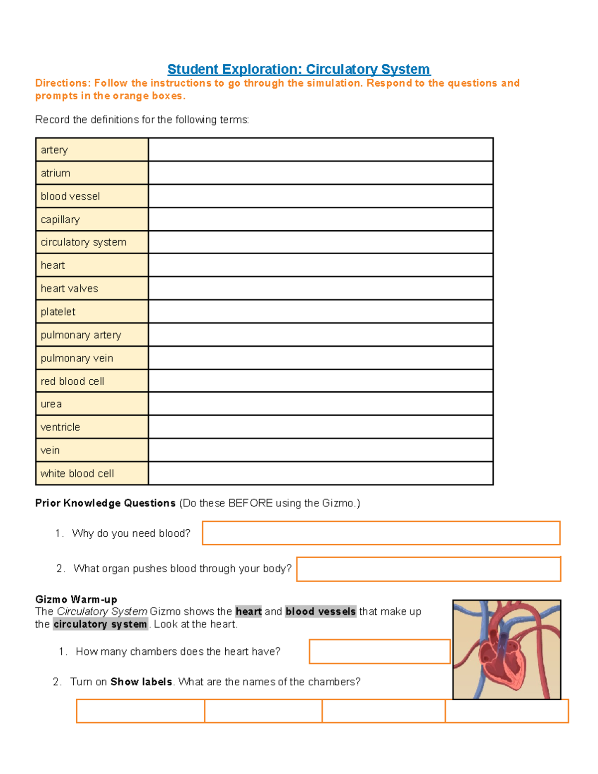 Circulatory System Workbook gizmo - Student Exploration: Circulatory ...