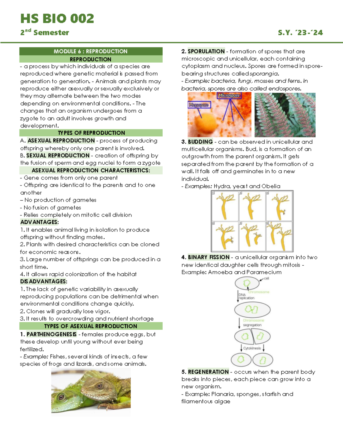 BIO 002 - Notes - 2 nd Semester S. ’23-‘ MODULE 6 : REPRODUCTION ...
