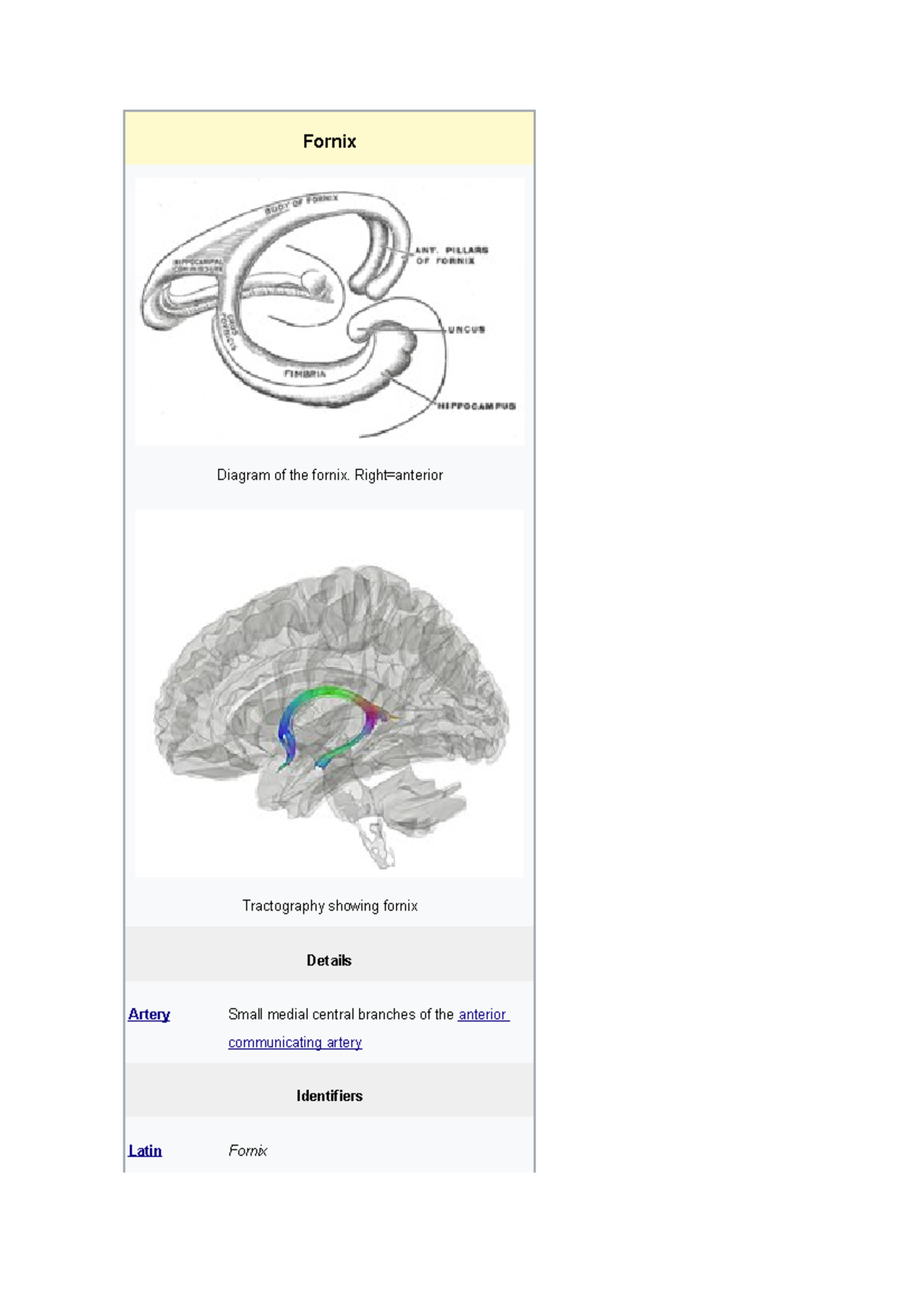 Fornix - Nieuwvorming Nieuwvorming Nieuwvorming Nieuwvorming Nieuwvorming Nieuwvorming - Fornix ...