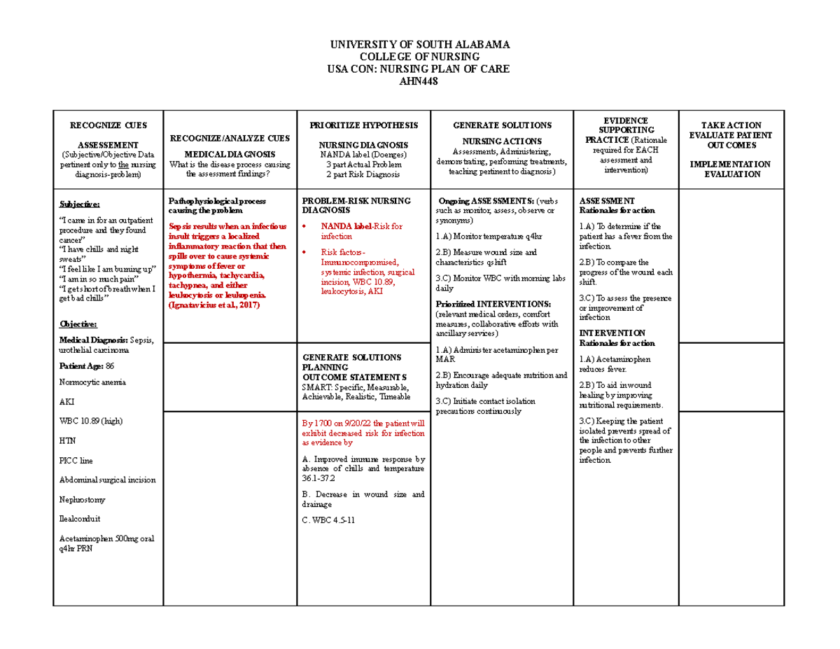 Risk for infection Care Plan NGN Collaboration AHN448 Blank template-1 ...