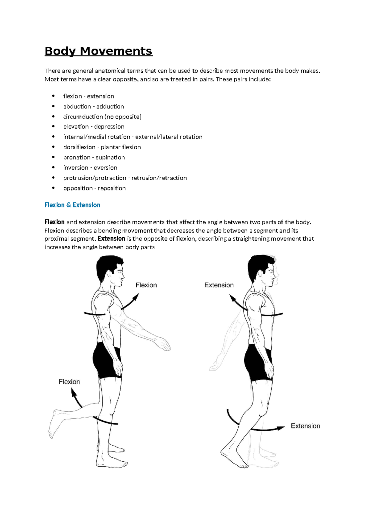 TPEH Body Movements - Body Movements There are general anatomical terms ...