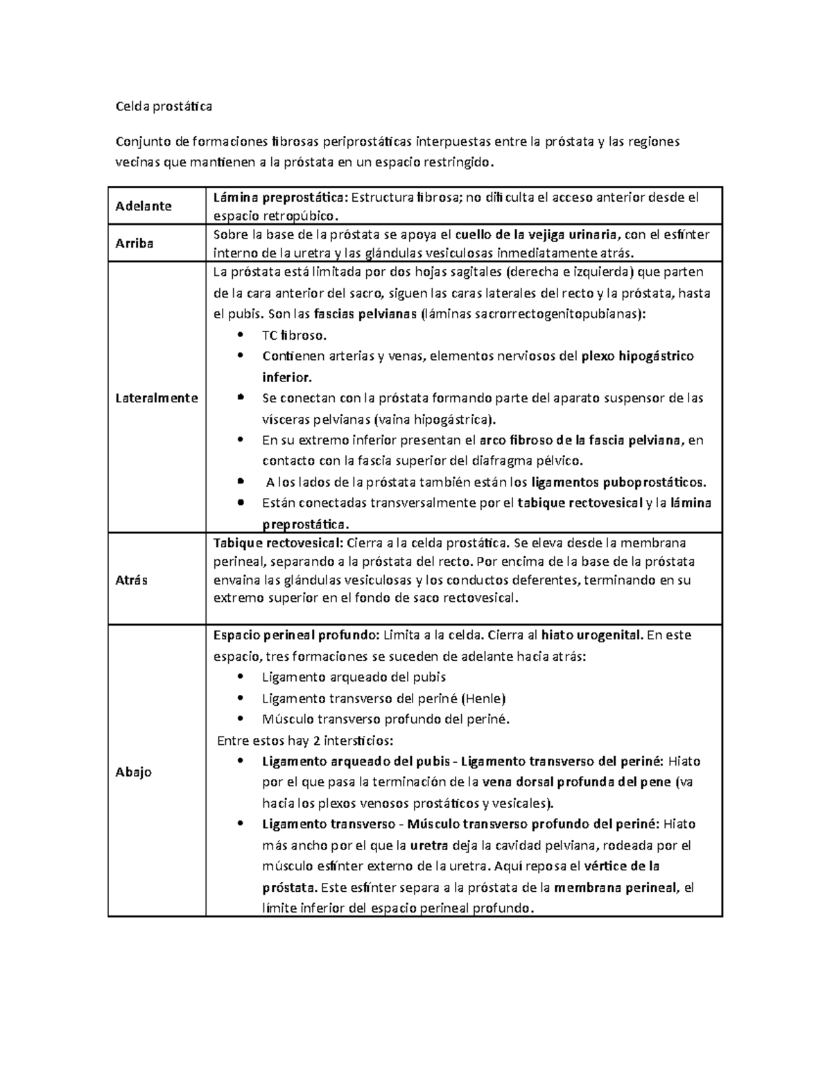 Celda prostática: Próstata, Neuroanatomía de Porrero - Celda prostática ...