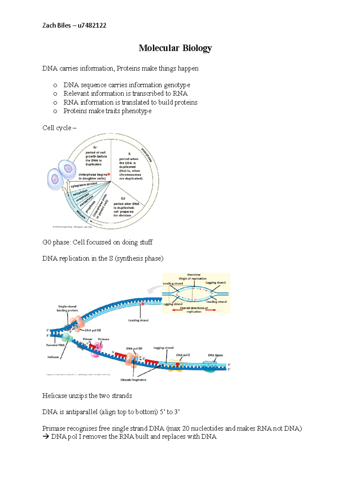 3. Molecular Biology - Lecture notes - Zach Biles u7482122 Molecular ...