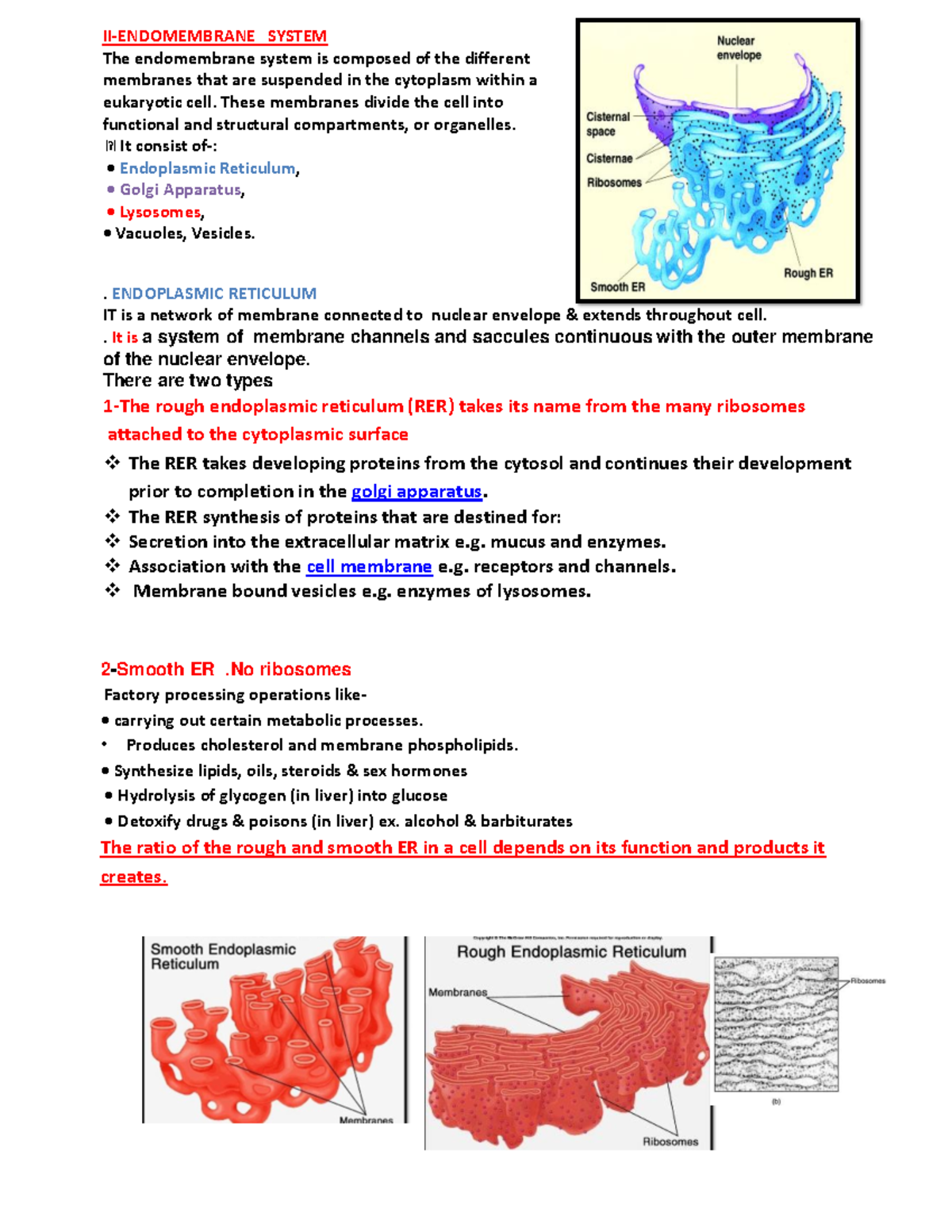 Lecture 2 cell structure - II-ENDOMEMBRANE SYSTEM The endomembrane system is composed of the ...